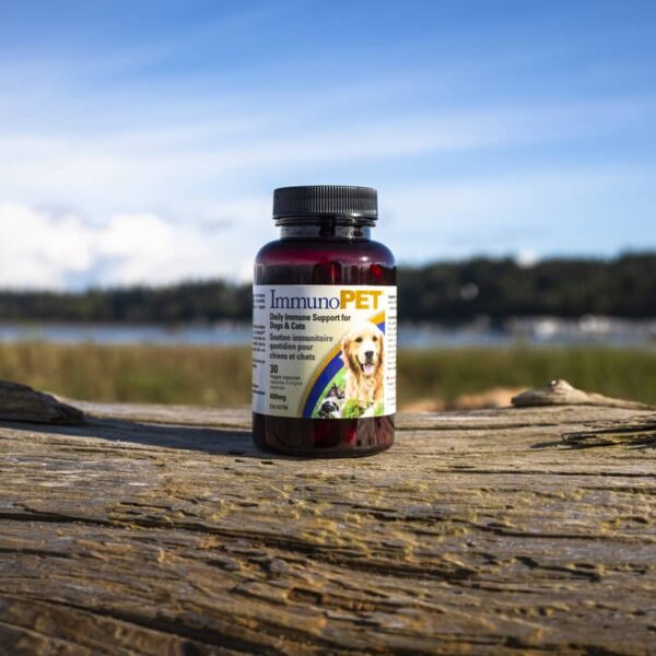Immuno Pet – Daily Immune Support for Pets